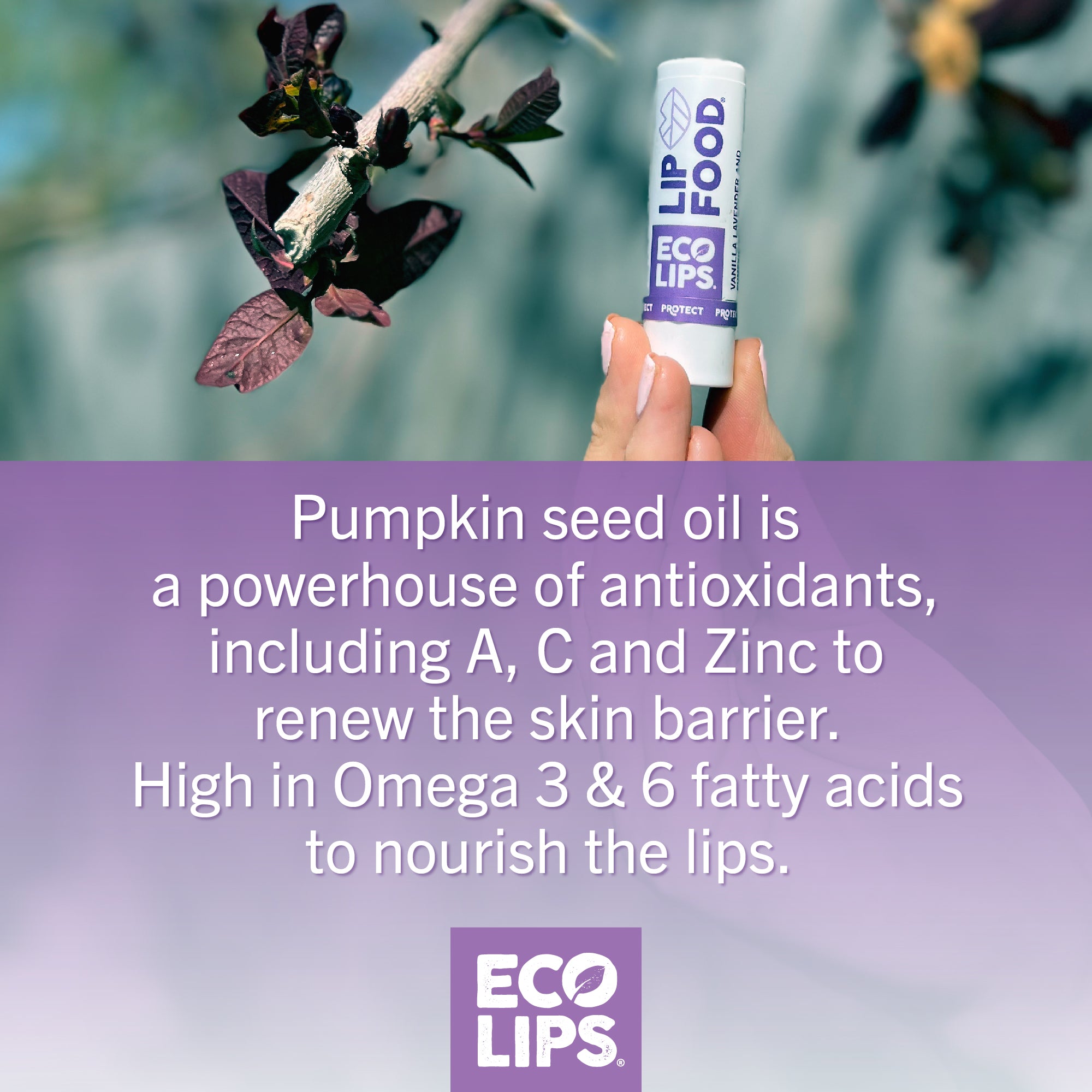 LIP FOOD® Protect Organic Lip Balm, 0.15 oz. - Eco Lips Store