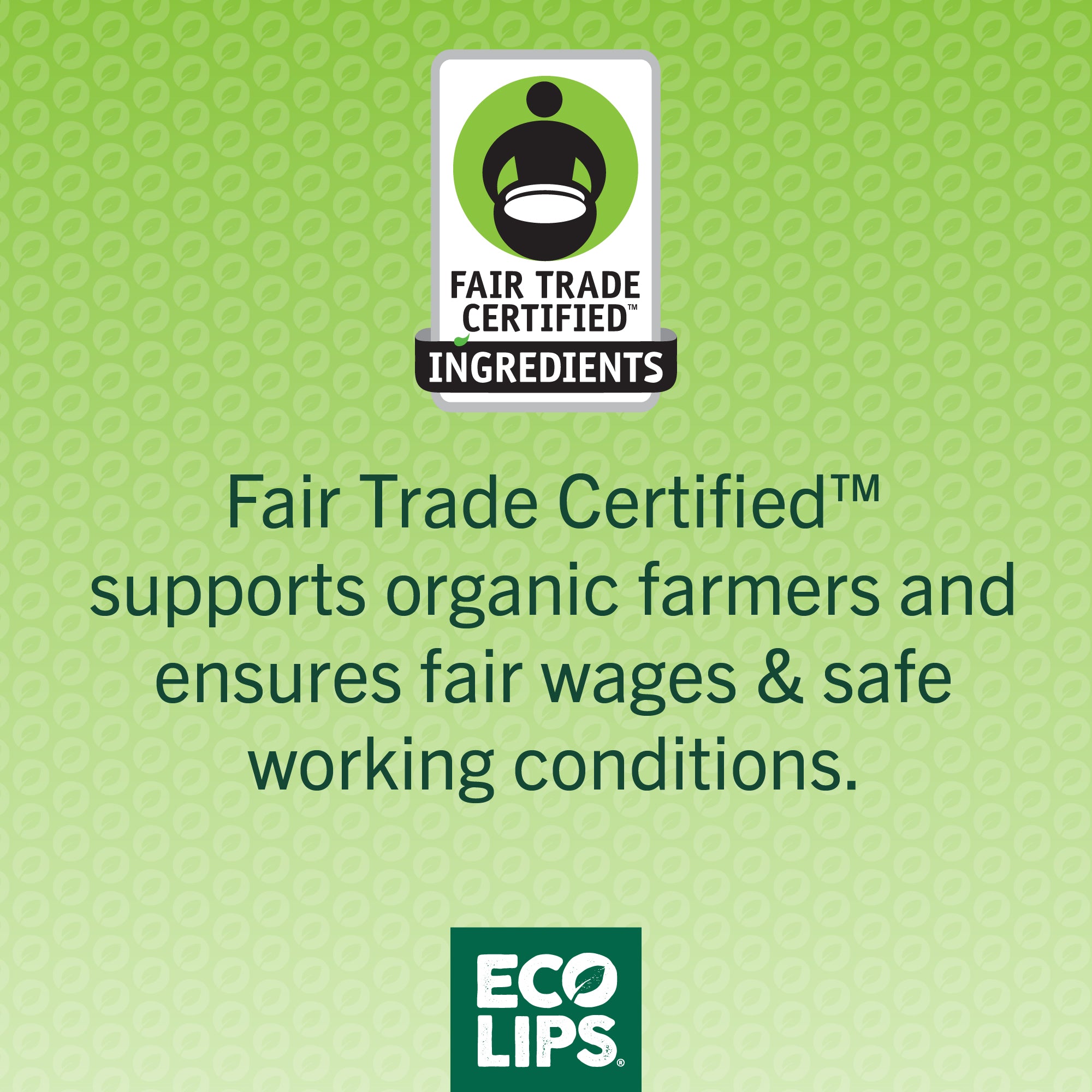 LIP FOOD® Organic Lip Balm, 3 Pack Variety - Eco Lips Store